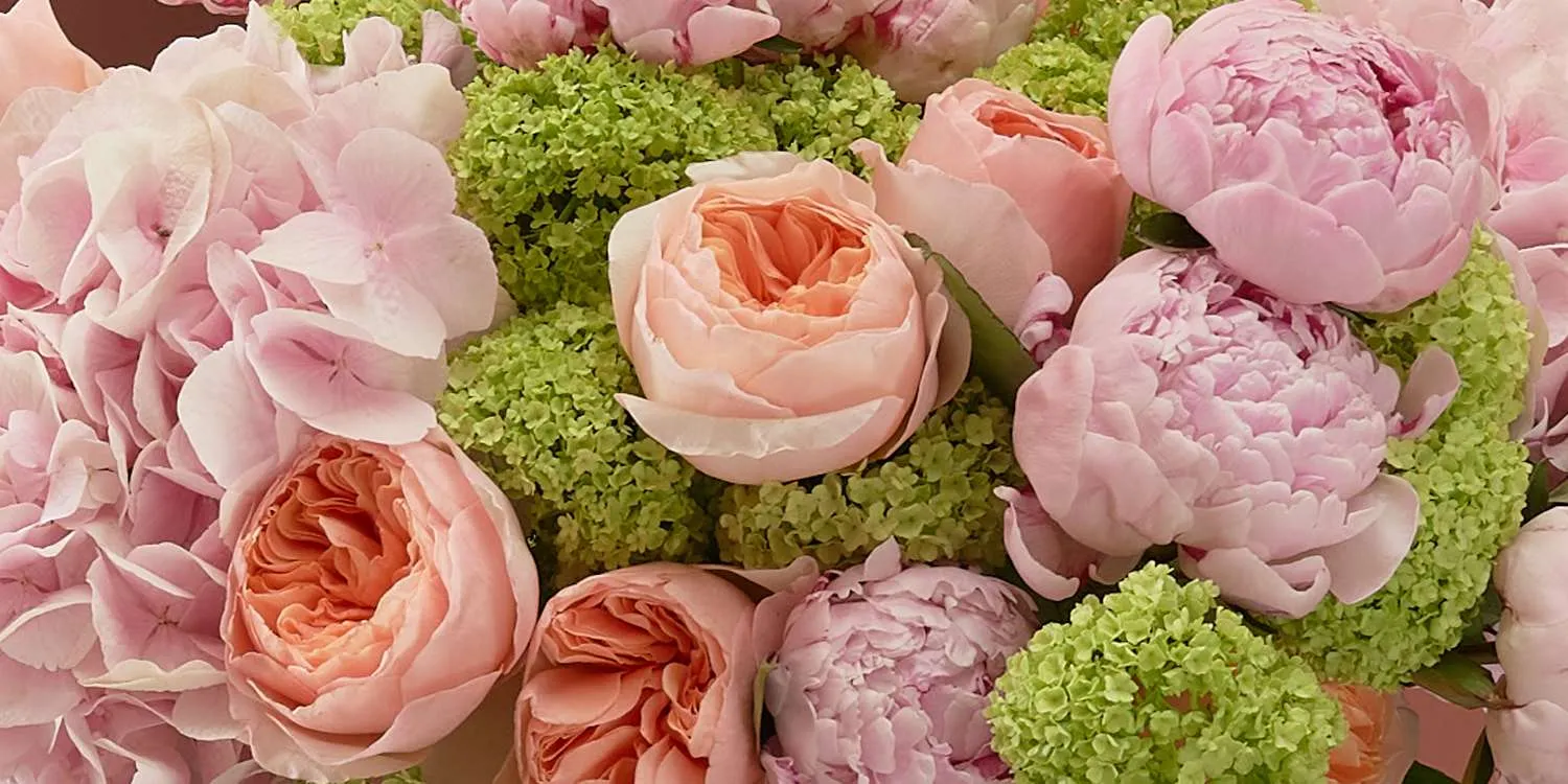 Flower Gift Ideas For 70th Birthday Darcey Flowers Flower Gift Ideas For 70th Birthday Darcey Flowers