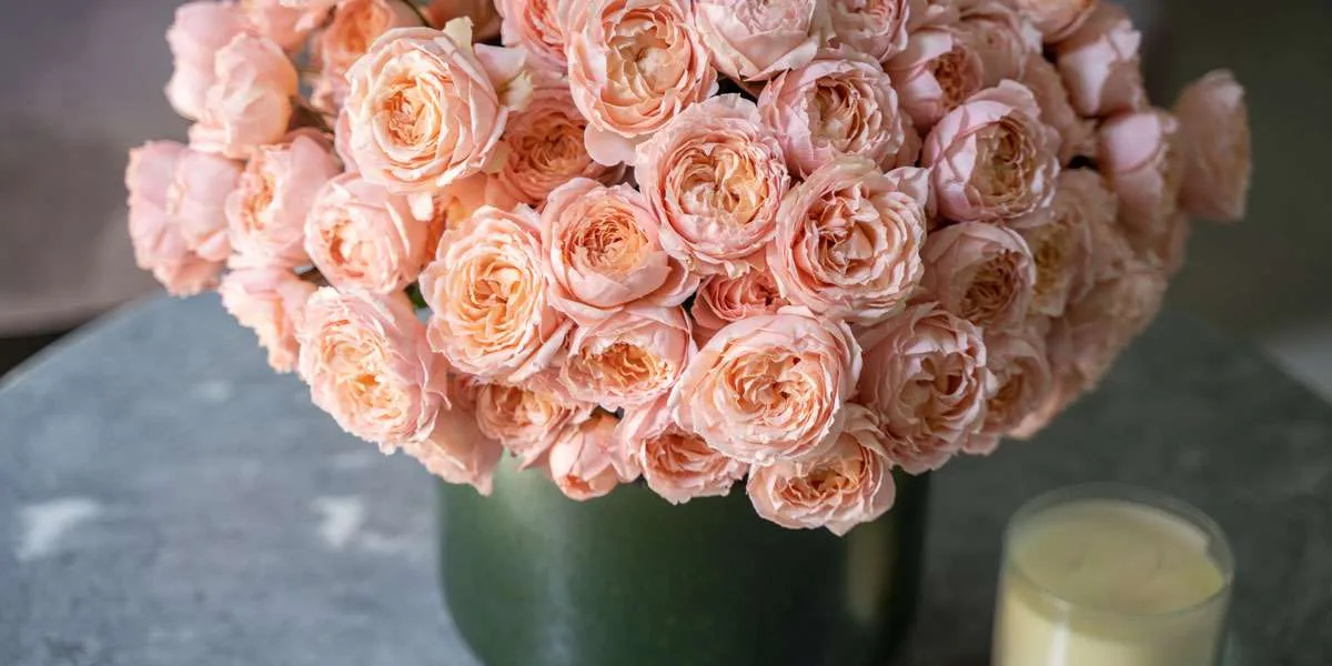 Flowers Ideas for Teachers Day | Darcey Flowers