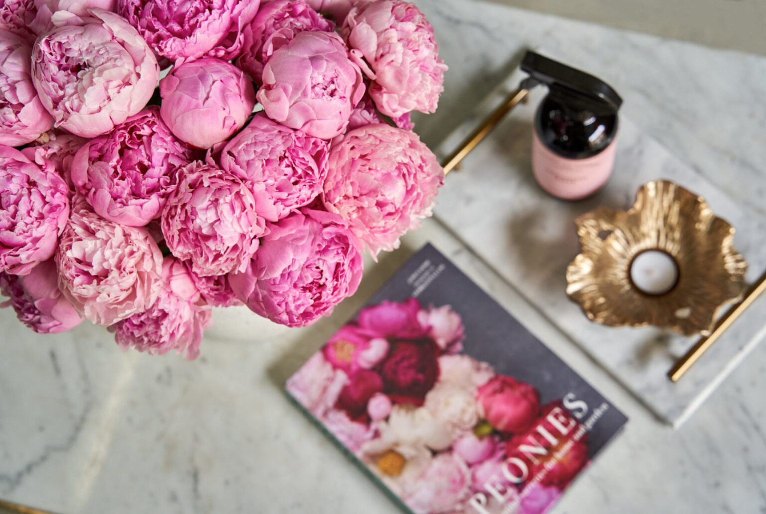 Peony Flower Symbolism and Color Guide | Darcey Flowers